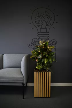 Fora Form | Senso is a flexible modular sofa with different back…